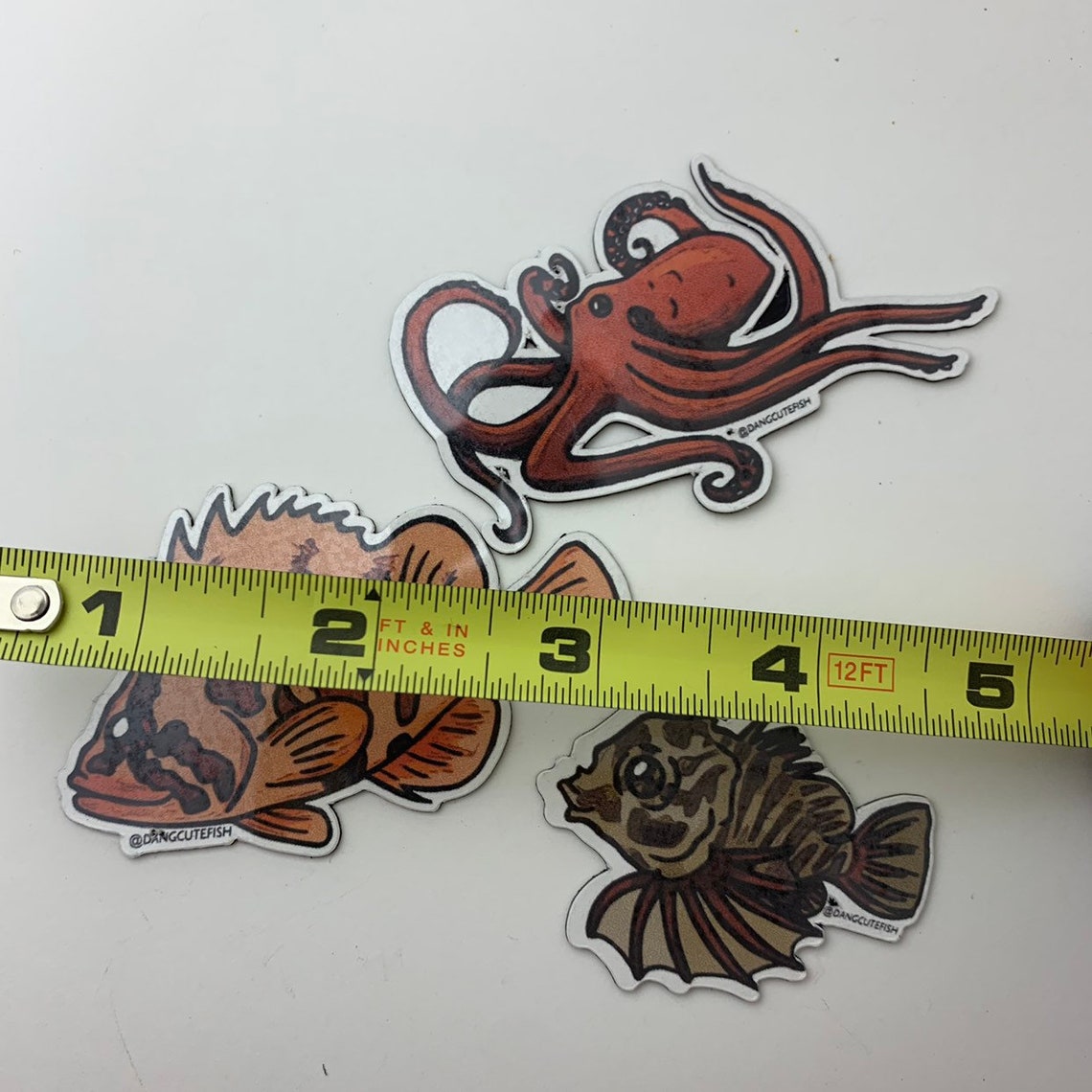 Pacific Northwest Sea Creature Magnet Set 3 Giant Pacific | Etsy