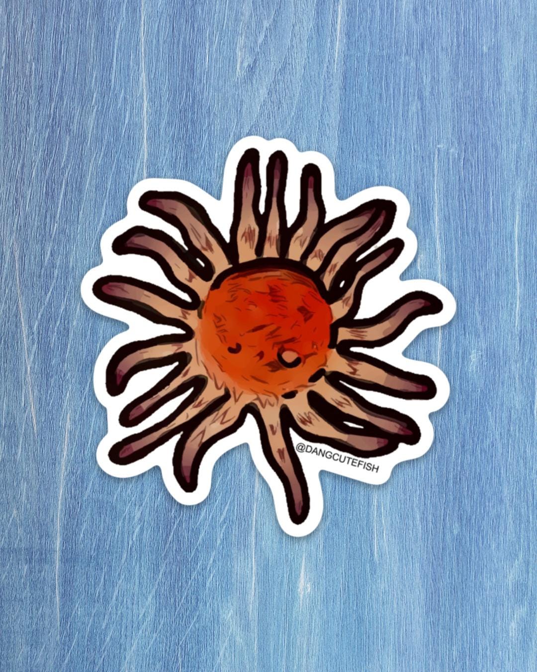 Sunflower Sea Star Sticker, Sea Star Sticker, Starfish Sticker - Etsy