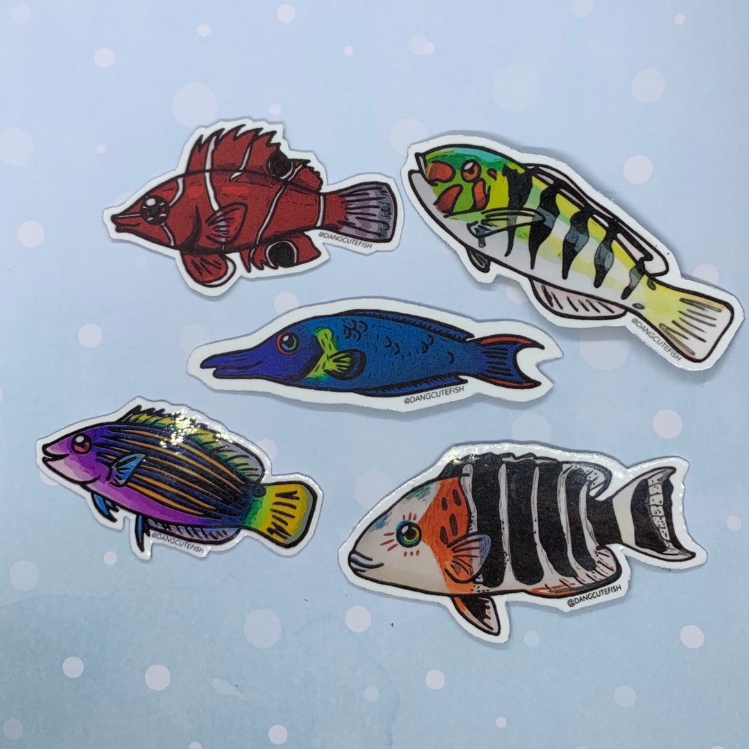 Wrasse Magnet Set Set of Five Cute Wrasse: Hardwicks Wrasse, Six Line ...