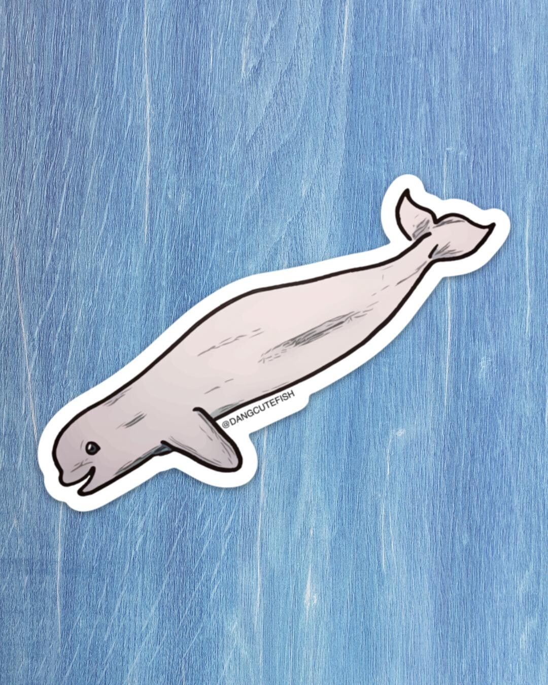 Matte Coated Vinyl Sticker - Beluga Whale, Cetacean - Etsy