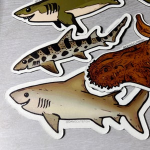 Magnet Set - Big Sharks Set #4 White Shark, Leopard Shark, Bull Shark ...