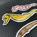 Magnet Set 7 Cephalopods, Flamboyant Cuttlefish, Pajama Squid, Nautilus ...