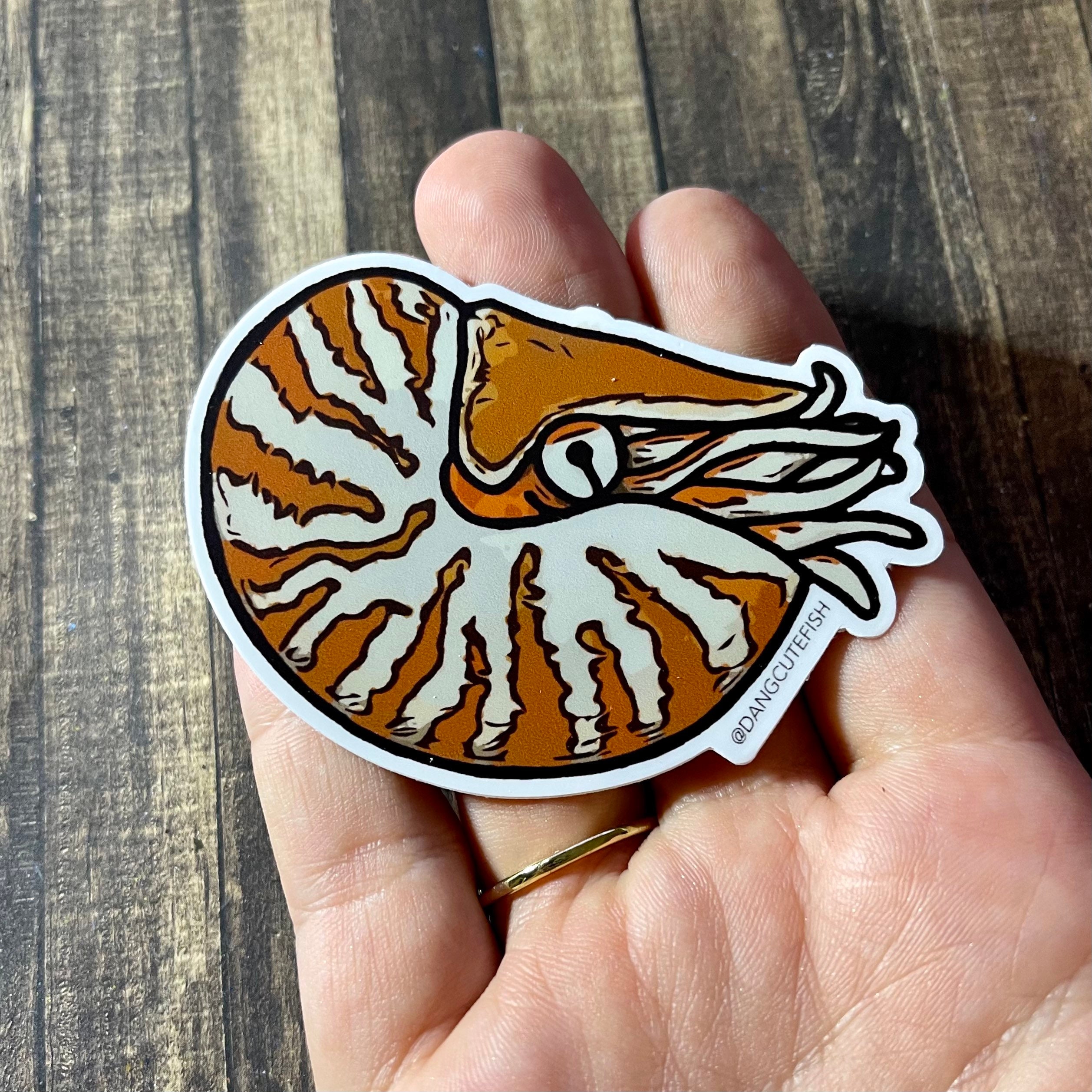 Matte Coated Vinyl Sticker Chambered Nautilus Sticker - Etsy UK