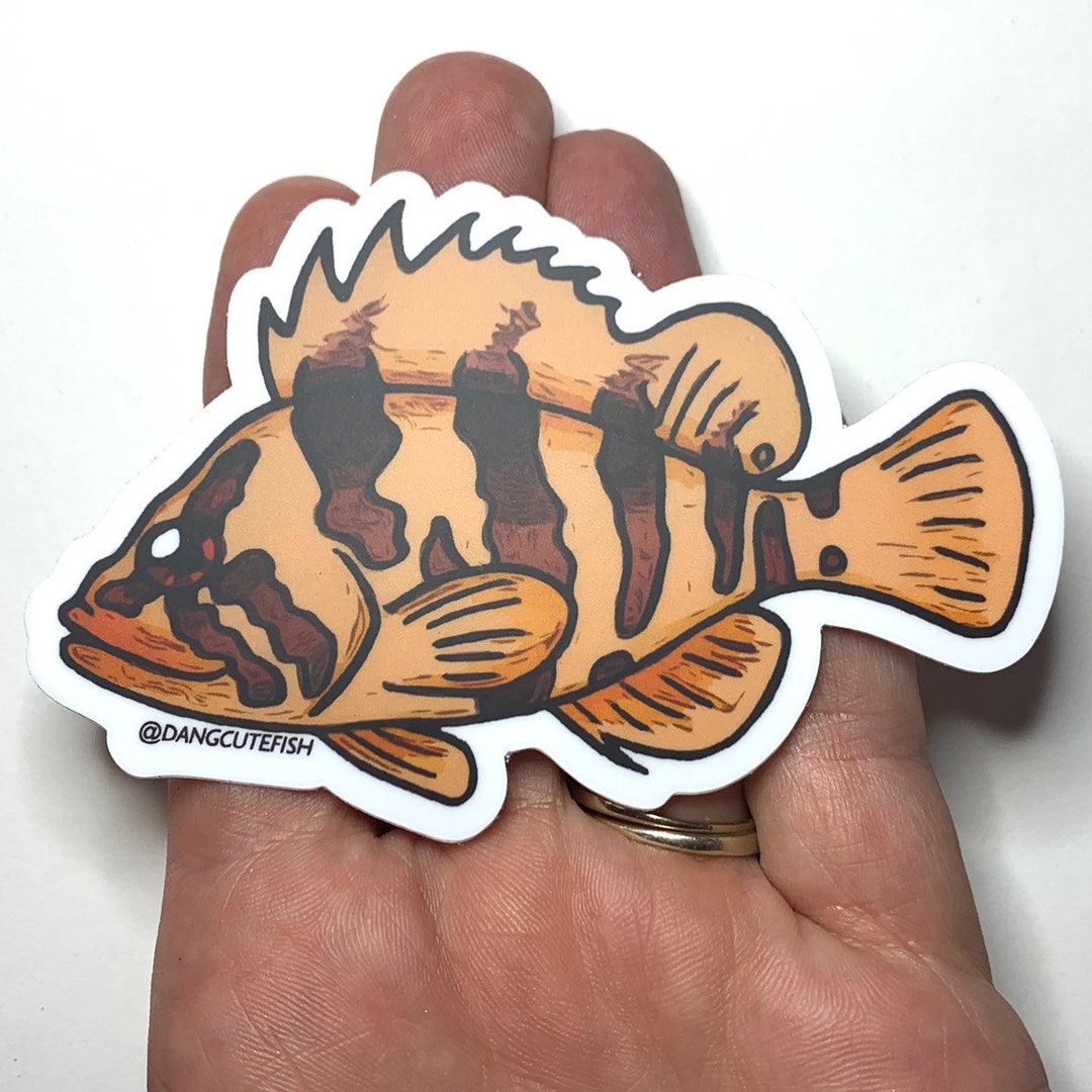 Matte Coated Vinyl Stickers (1) - Tiger Rockfish, Great Gift for an ...