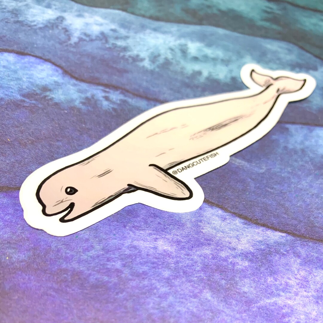 Matte Coated Vinyl Sticker - Beluga Whale, Cetacean - Etsy