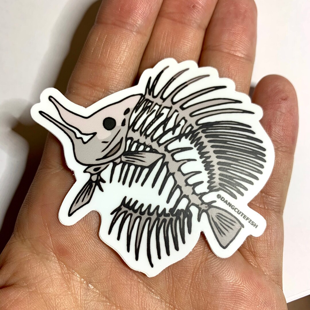 Matte Coated Vinyl Sticker Copperband Butterflyfish Skeleton, Spooky ...