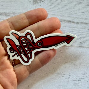 Giant Squid Sticker, Cephalopod Sticker, Gift - Etsy