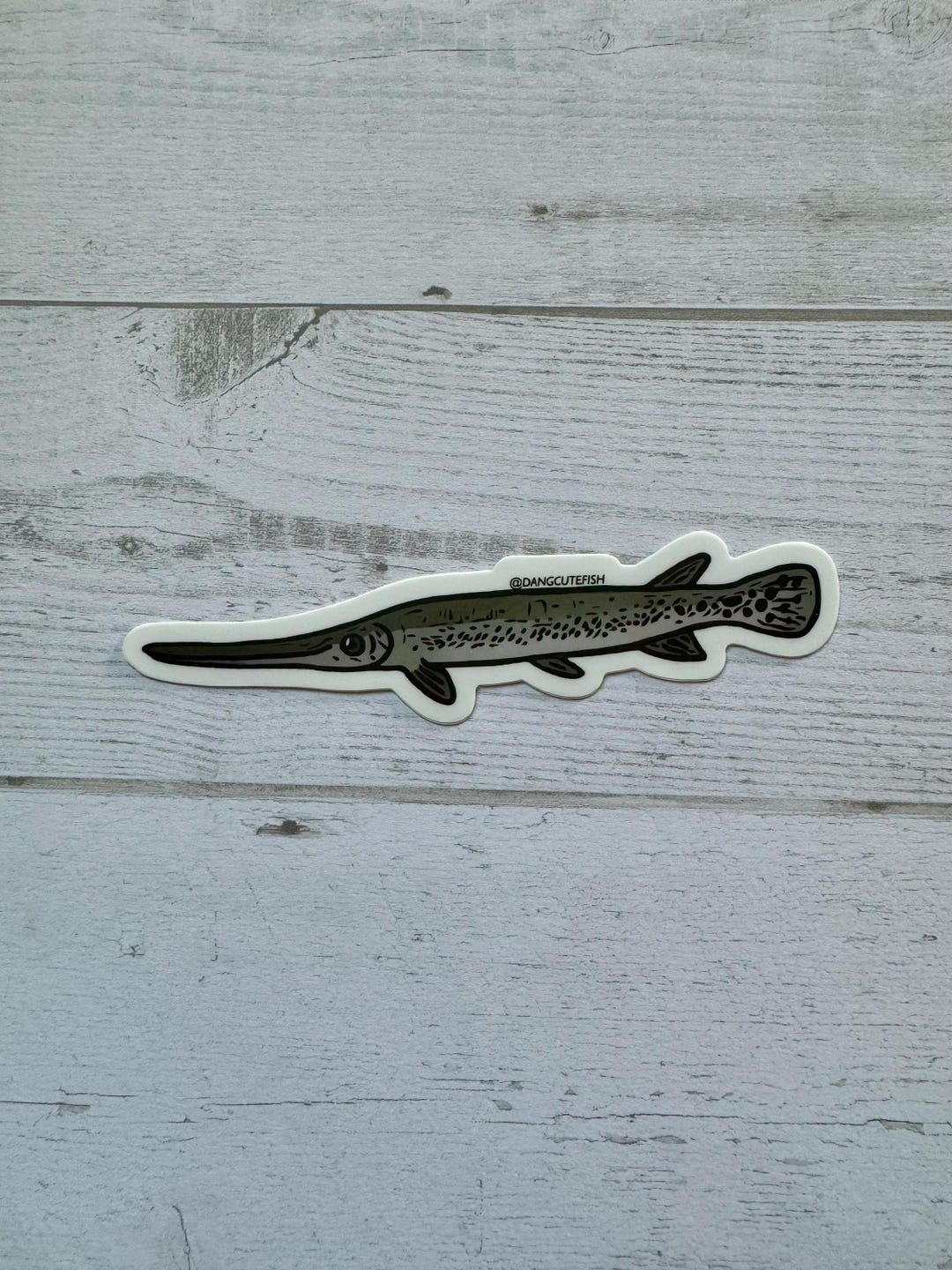 Longnose Gar Sticker, Sportsman Sticker, Longnose Gar Gift - Etsy