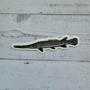 Longnose Gar Sticker, Sportsman Sticker, Longnose Gar Gift - Etsy