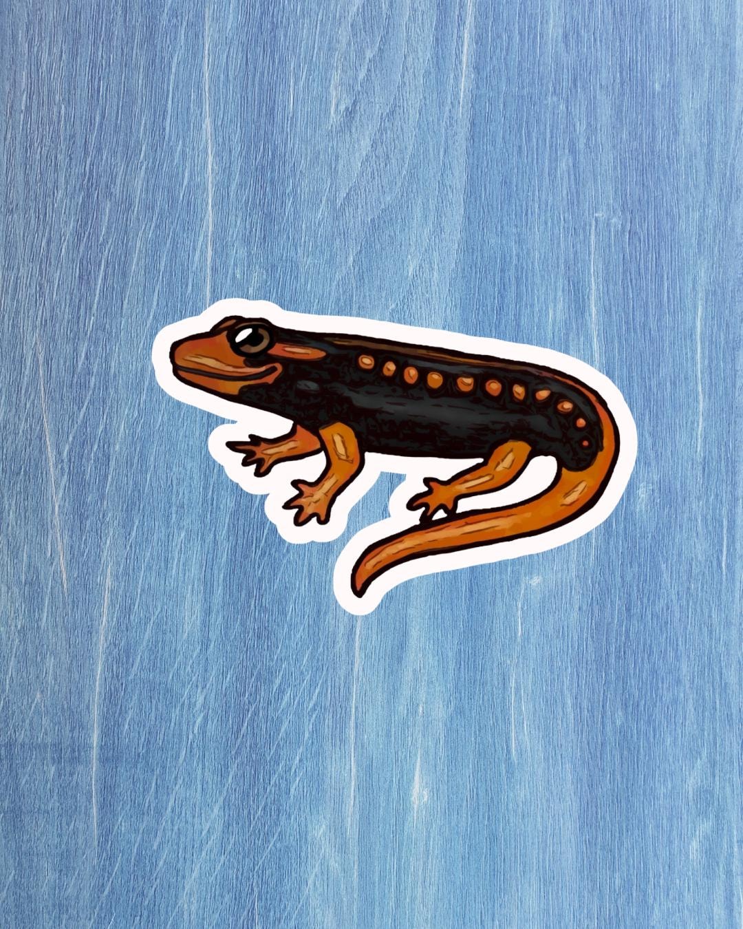 Emperor Salamander Sticker - Salamander Gift, Aquarist, Herpetologist ...