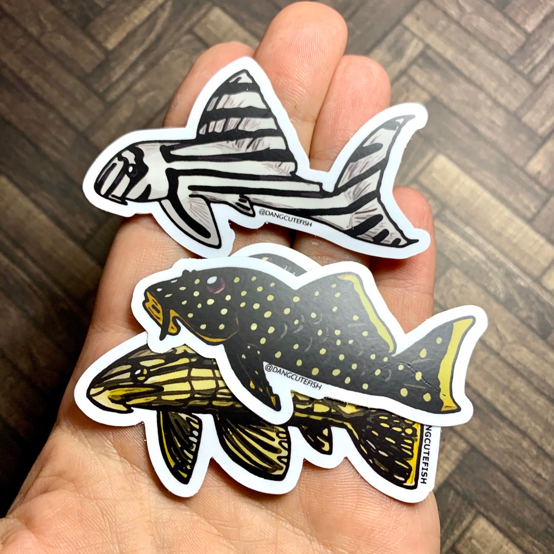 Matte Coated Vinyl Sticker 3 Pleco Set Panque, Zebra Plecostomus, Gold ...