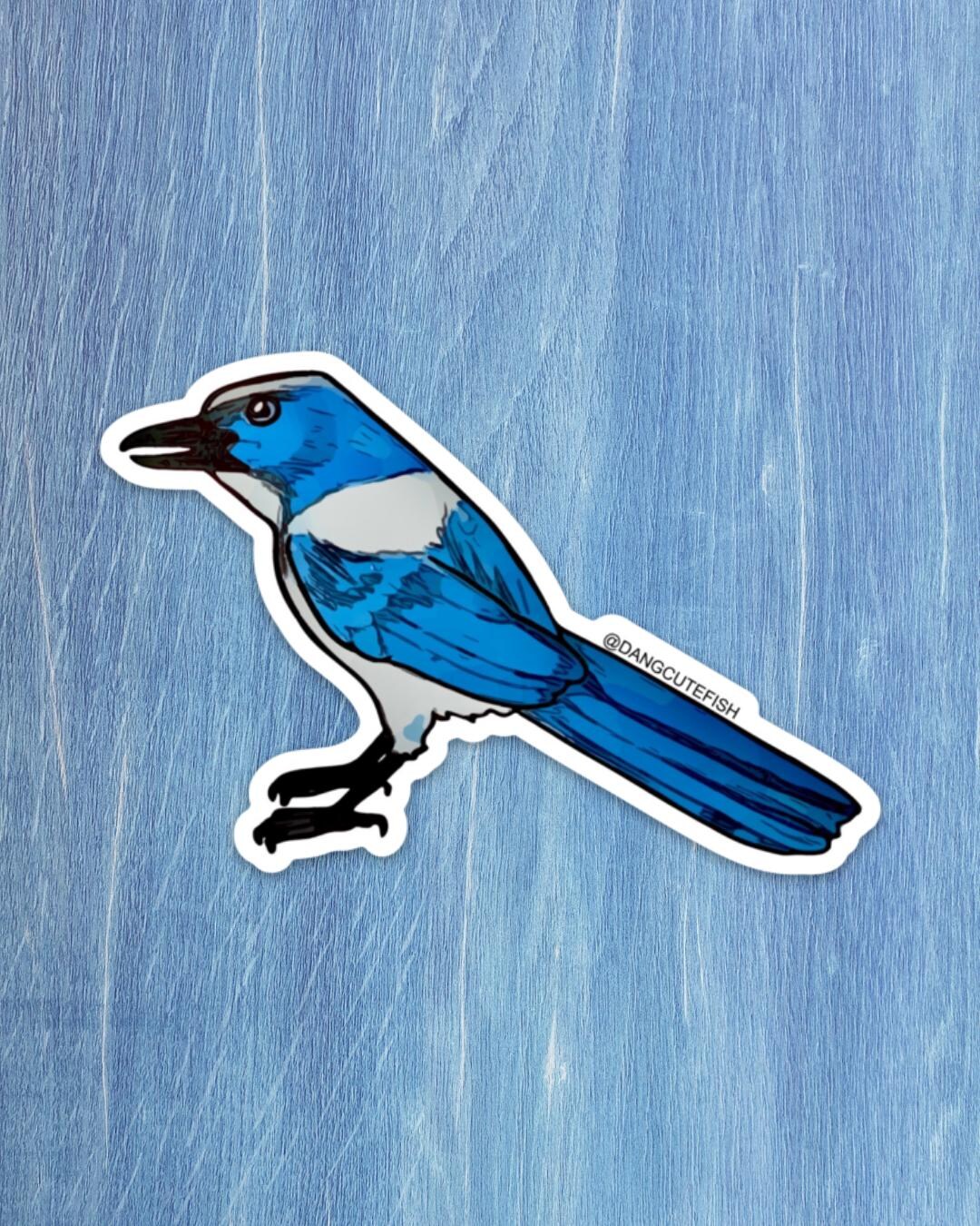 Scrub Jay Sticker - Dang Cute Birds, Bird Sticker, Florida Native Bird ...