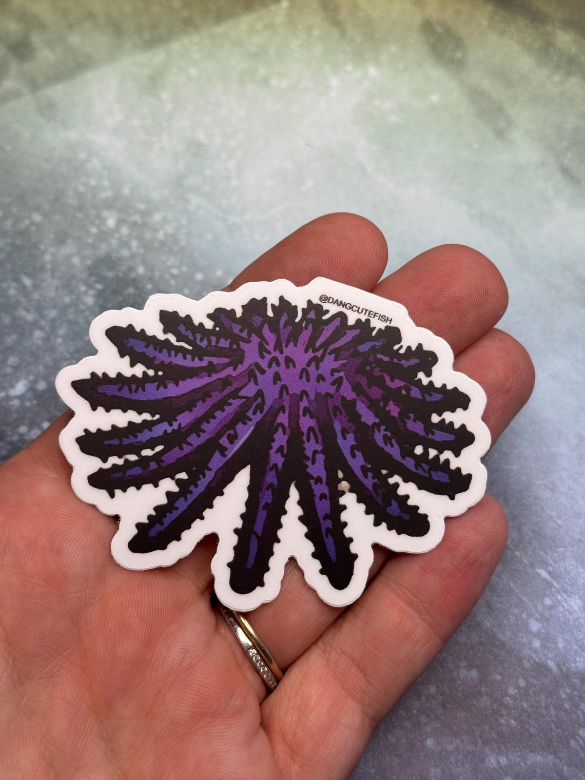 Crown of Thorns Sea Star Sticker, Sea Star Sticker, Starfish Sticker - Etsy