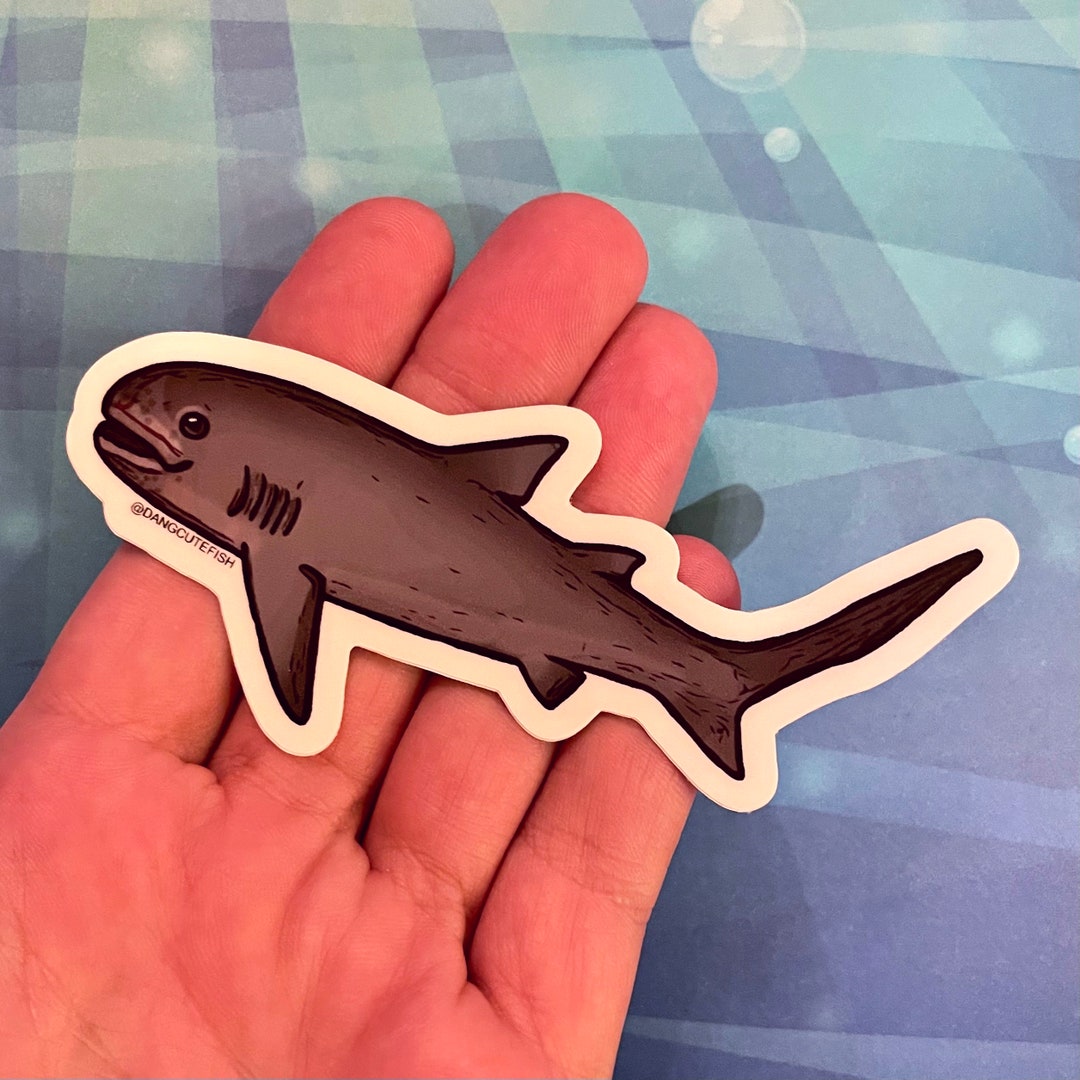 Megamouth Shark Sticker - Elasmobranch, Shark Gift, Dang Cute Fish - Etsy