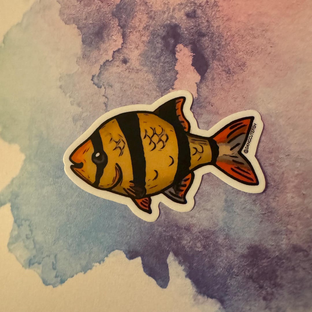 Tiger Barb Sticker, Cute Loach Sticker, Freshwater Aquarium, Loach Gift ...
