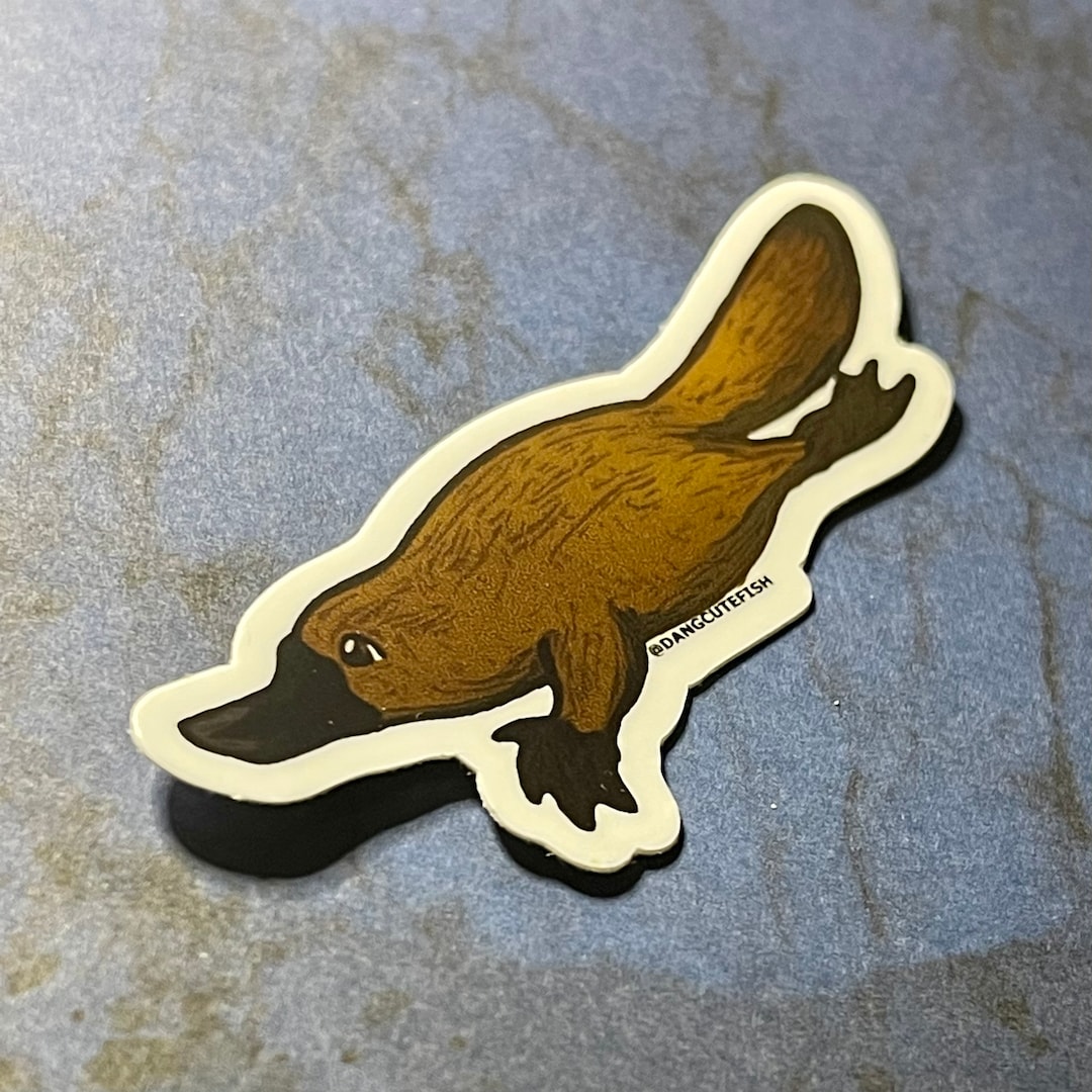 Matte Coated Vinyl Stickers (1) - Platypus Sticker, Platypus Gift ...