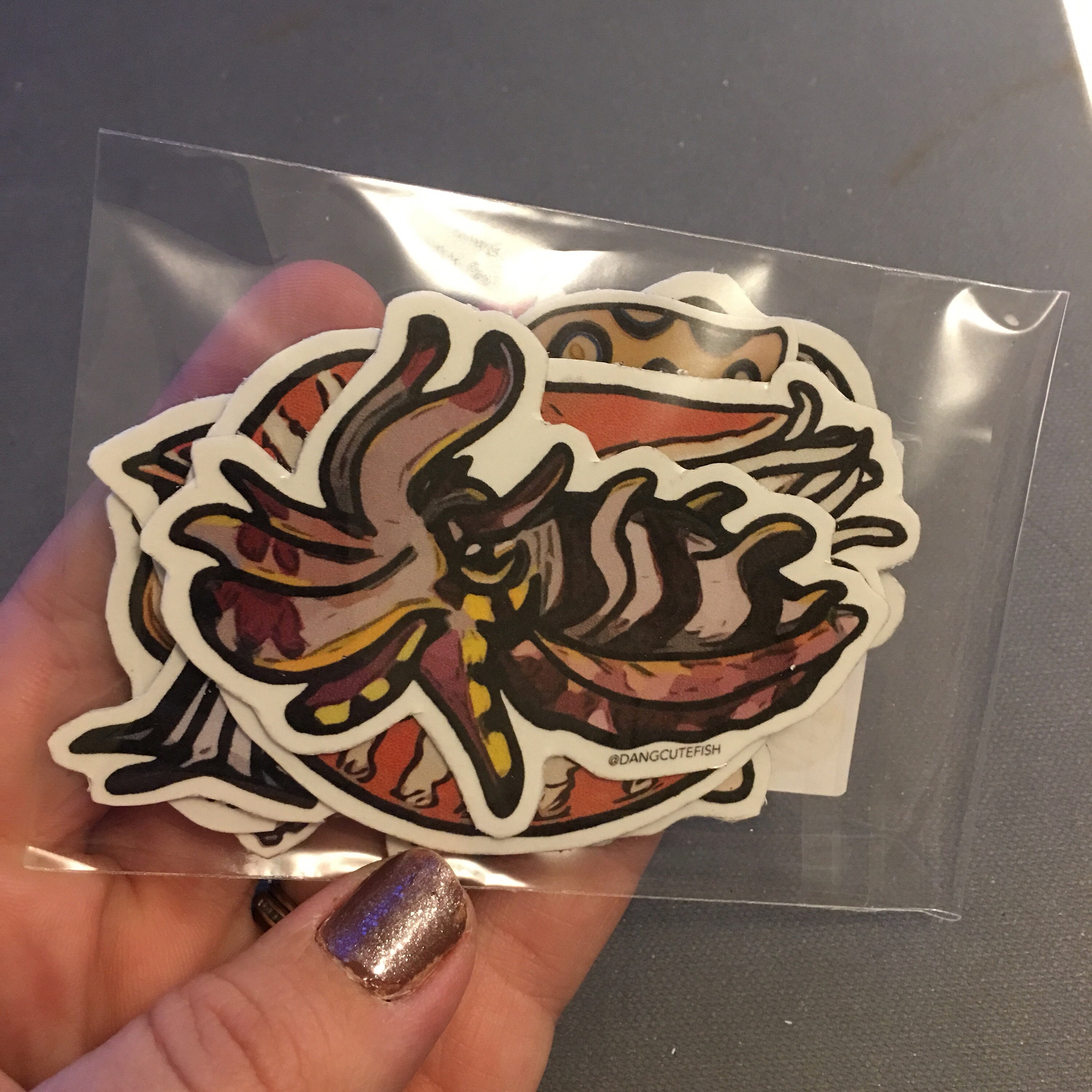 Magnet Set 7 Cephalopods Flamboyant Cuttlefish Pajama - Etsy