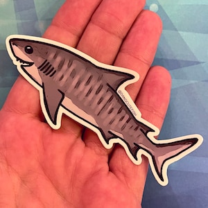 Tiger Shark Sticker - Elasmobranch, Shark Gift, Dang Cute Fish - Etsy