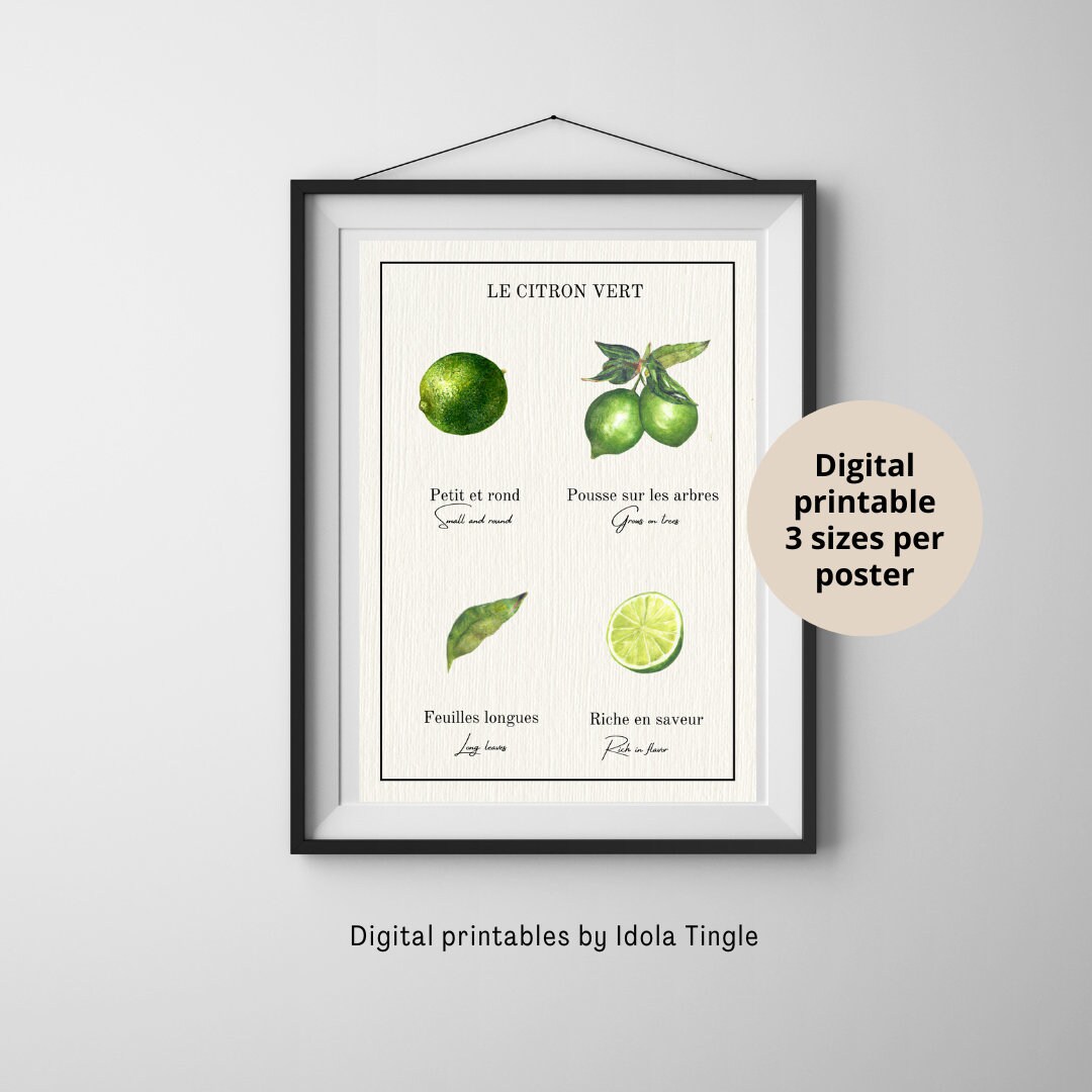 Lime Printable Wall Citron Vert, Decor, Latin French Fruit Poster ...