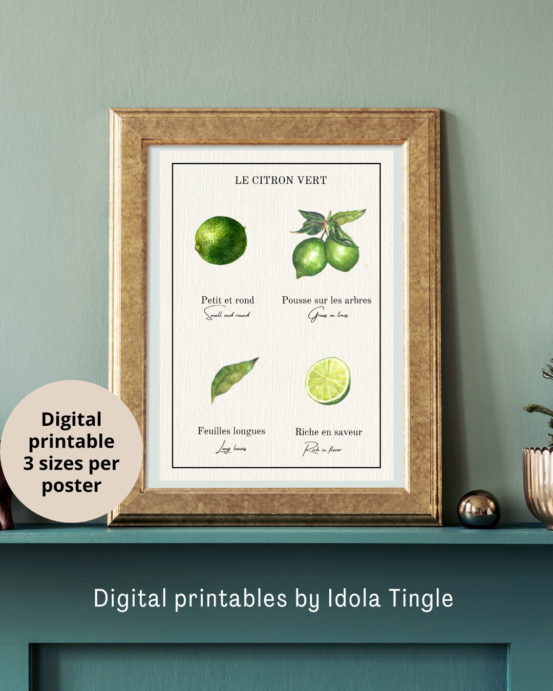 Lime Printable Wall Citron Vert, Decor, Latin French Fruit Poster ...