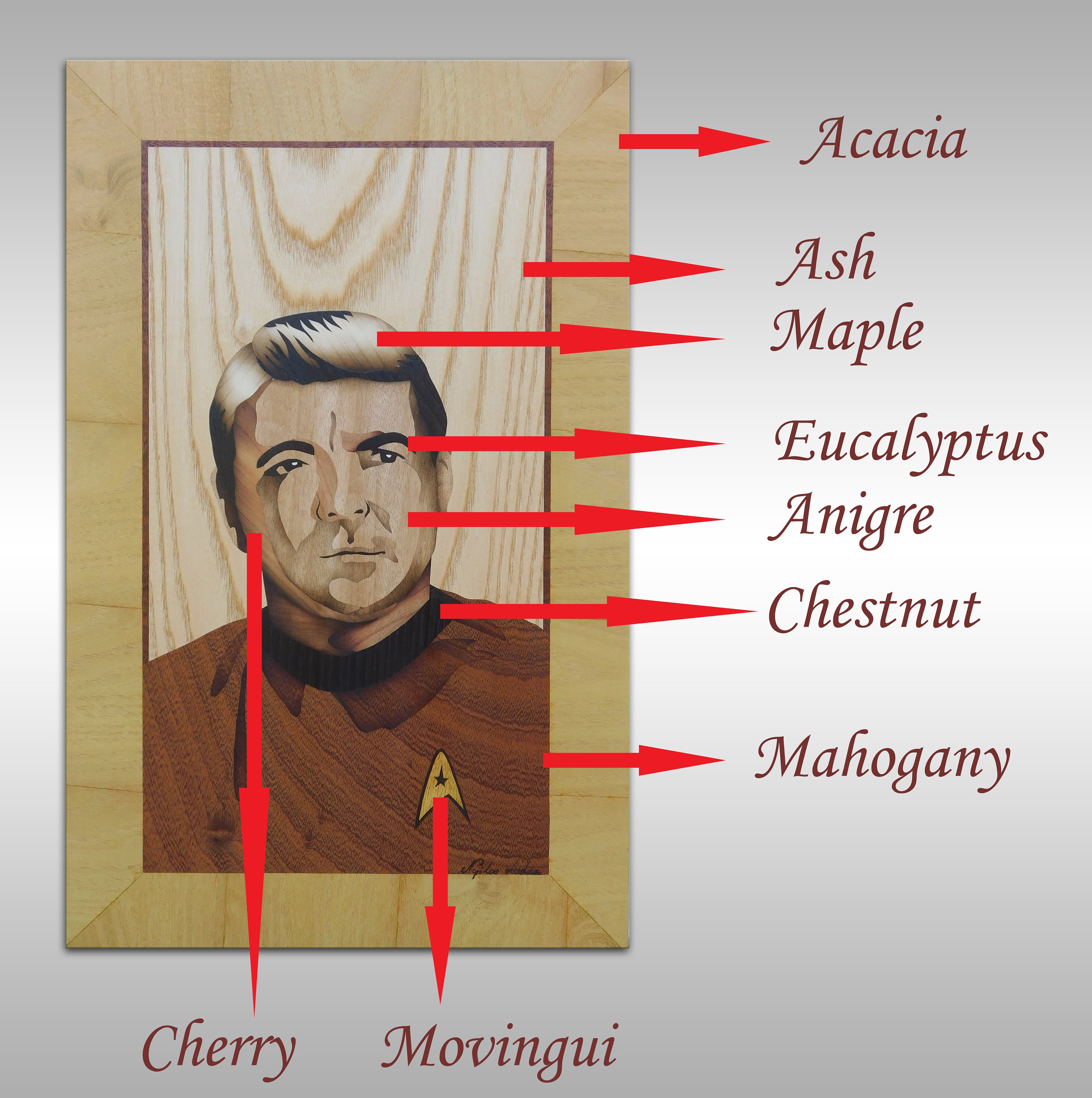 Star Trek Portrait From Photo Wood Art - Etsy