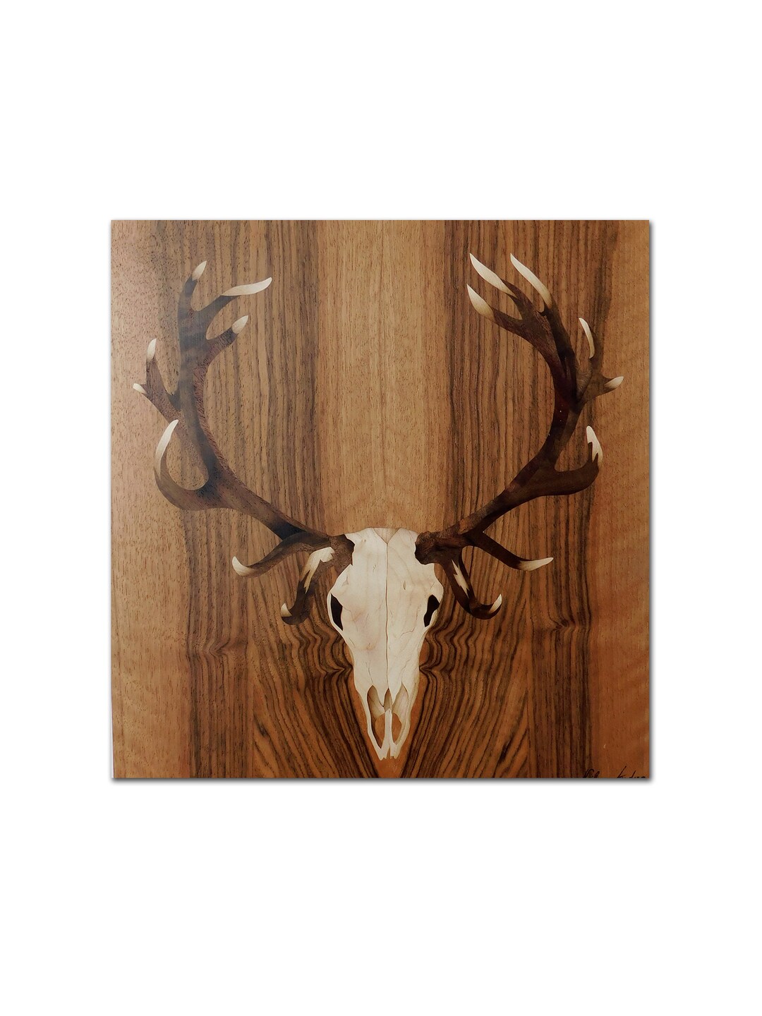 Handmade Deer Skull Marquetry: Wood Inlay Painting, Rustic Wall Art - Etsy