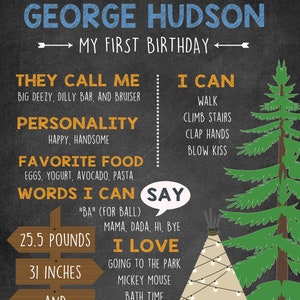 Camping Birthday Poster- Camping First Birthday, Camping Birthday Board ...