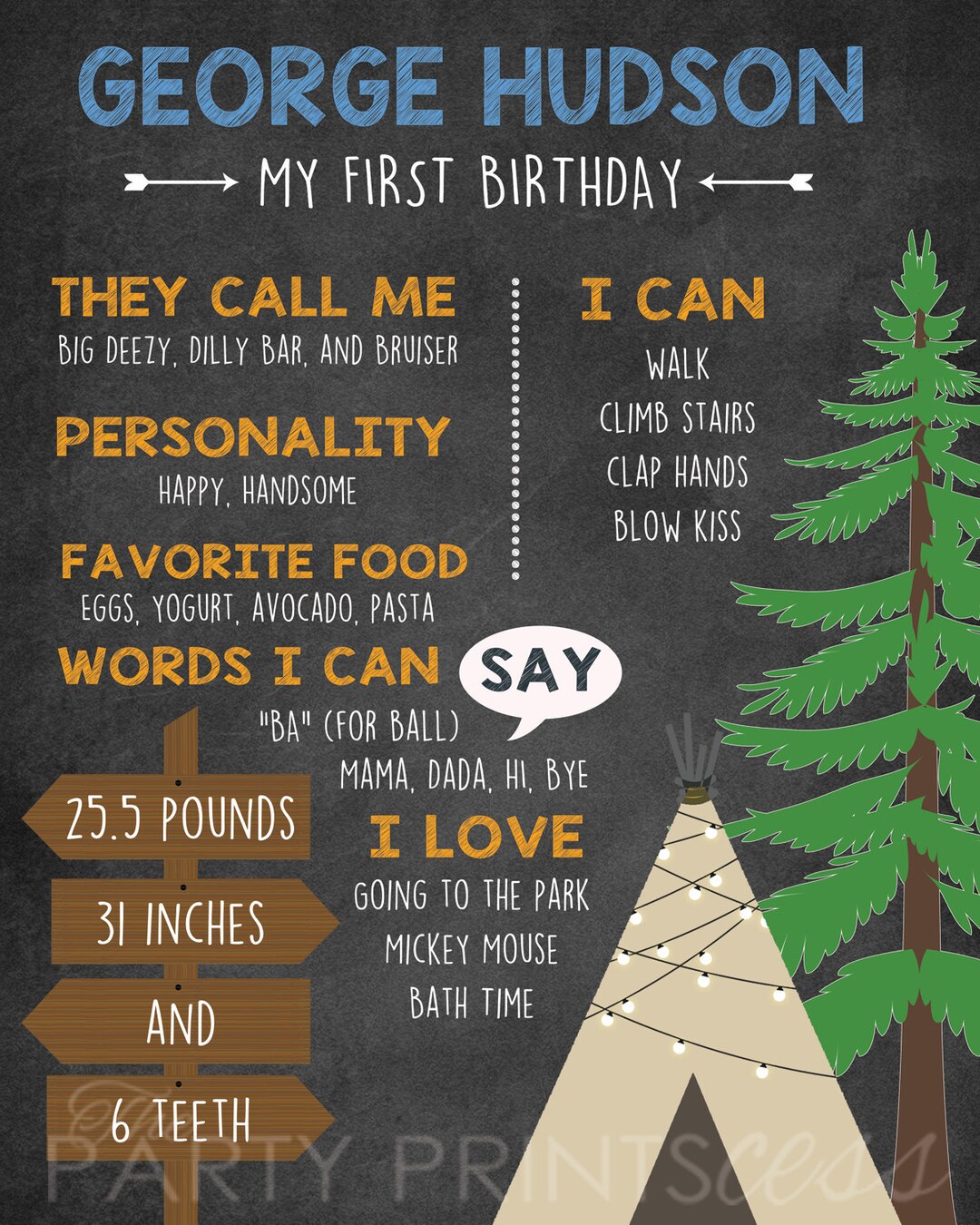 Camping Birthday Poster- Camping First Birthday, Camping Birthday Board ...