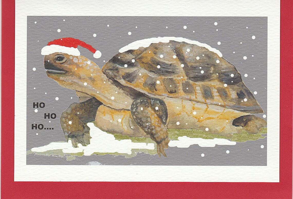 Tortoise Christmas Card. Hand Made Card. Card With a Tortoise. - Etsy