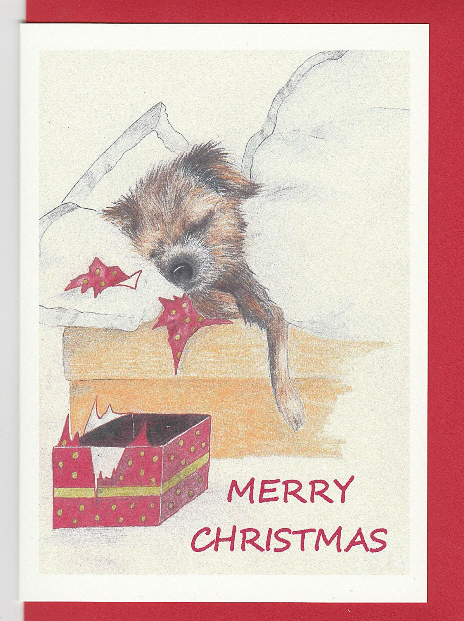 Border Terrier Christmas Card. Christmas Card With a Border - Etsy UK