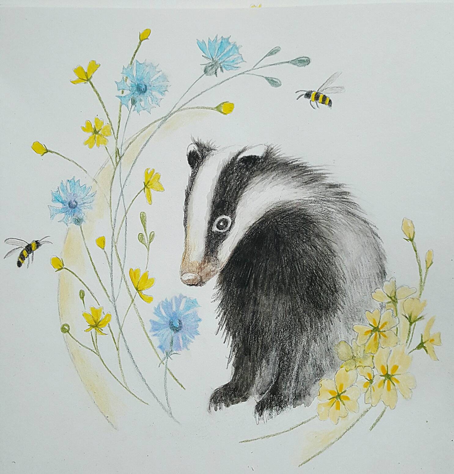 Badger Paper. Badger and Wild Flowers Wildlife Wrapping Paper. Badger ...
