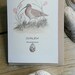 Turtle Dove Card. Card With a Turtle Dove. Turtle Dove Watercolour ...