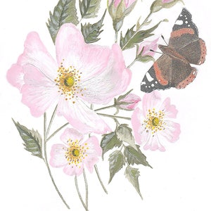 Flower Notecards. Notelets With Flowers. Cowslip and Butterfly. Wild ...