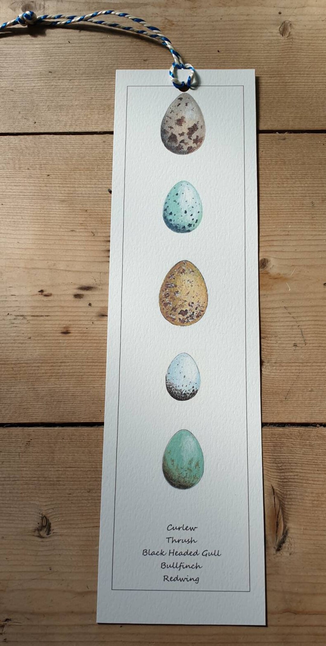 Egg Bookmark. Bookmark Featuring Bird Eggs. British Bird Eggs. Bird ...