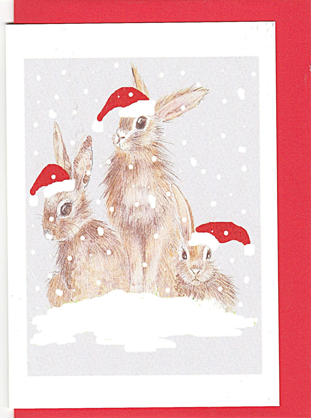 Bunny Christmas Card. Christmas Card With a Bunnies. Funny Bunny Card ...