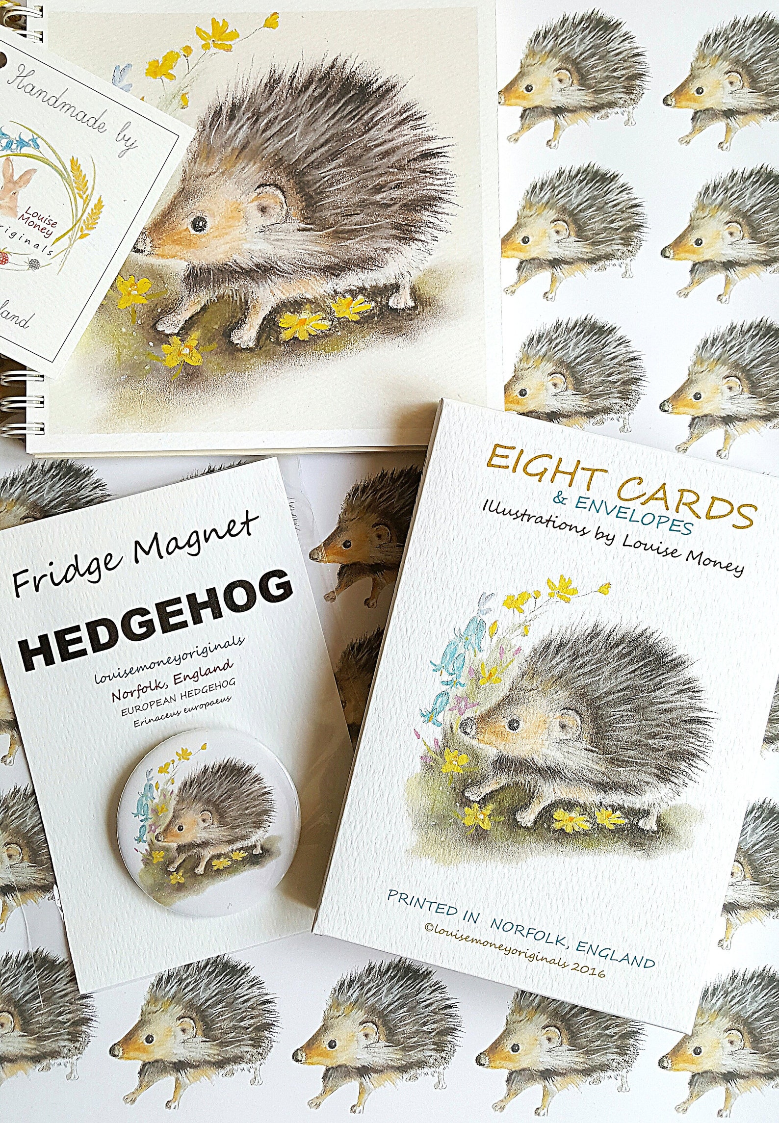 Hedgehog notecard pack. multi pack of cards. hedgehog gift. | Etsy