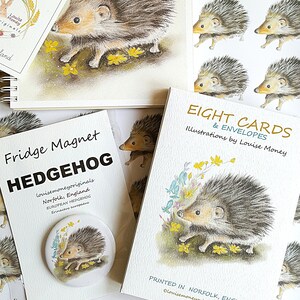 Hedgehog Notecard Pack. Multi Pack of Cards. Hedgehog Gift. Hedgehog ...
