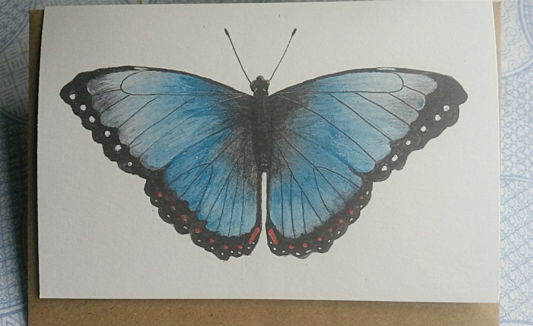 Blue Butterfly Card. Blue Morpho. Morpho Peleides. Emperor. Butterfly ...
