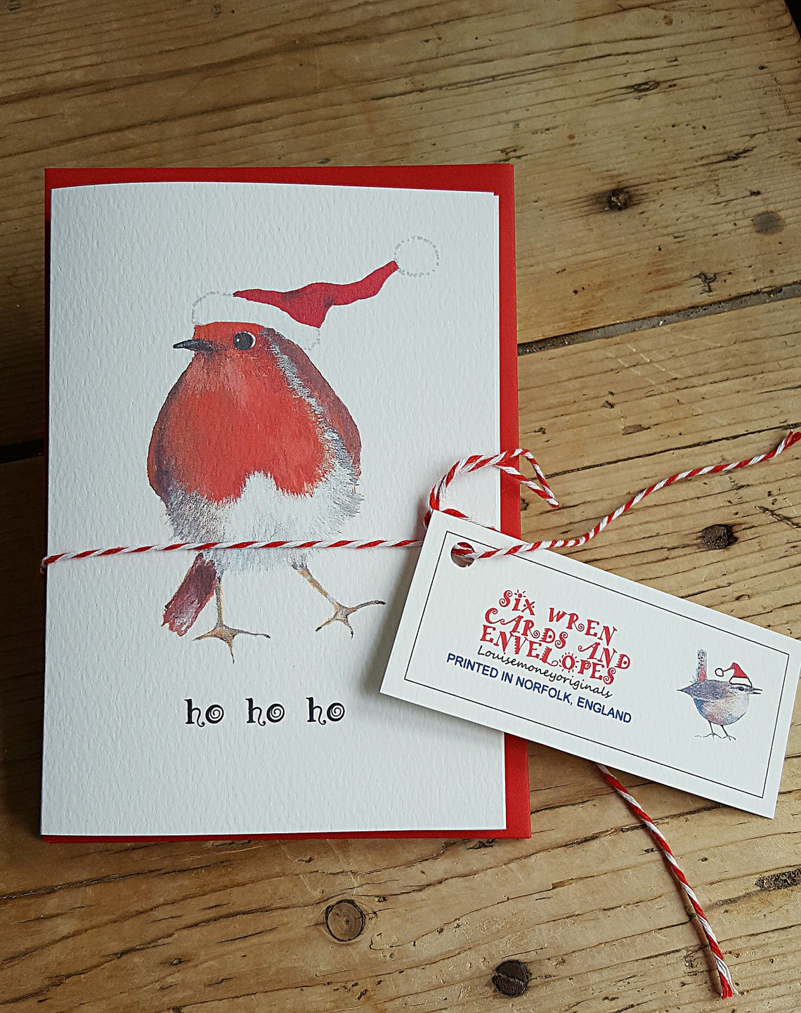 Robin Christmas Card. Hand Painted Robin in Santa Hat. Funny - Etsy UK