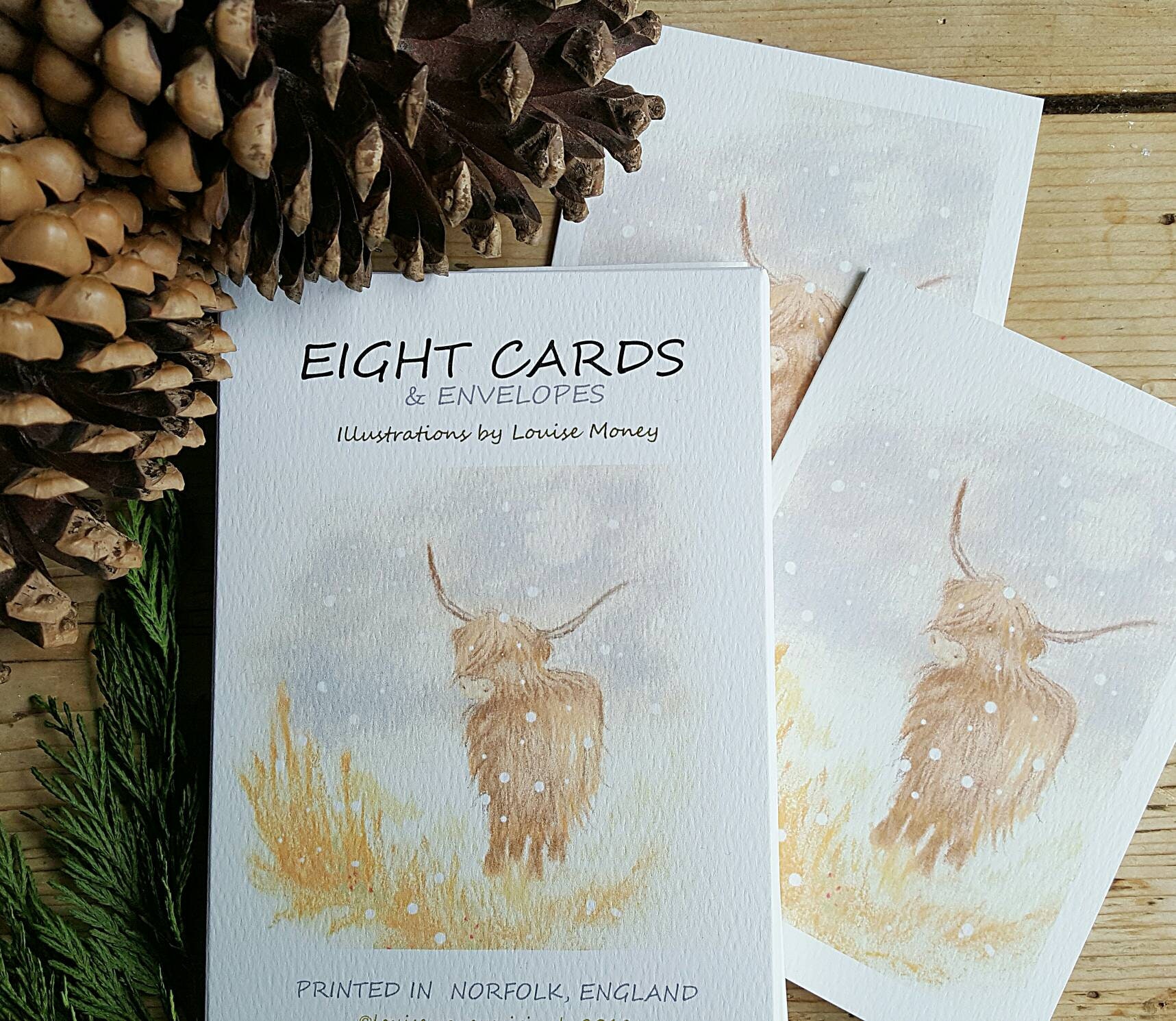 Highland Cow Notecard Pack. Highland Cow Gift. Cow Present. - Etsy