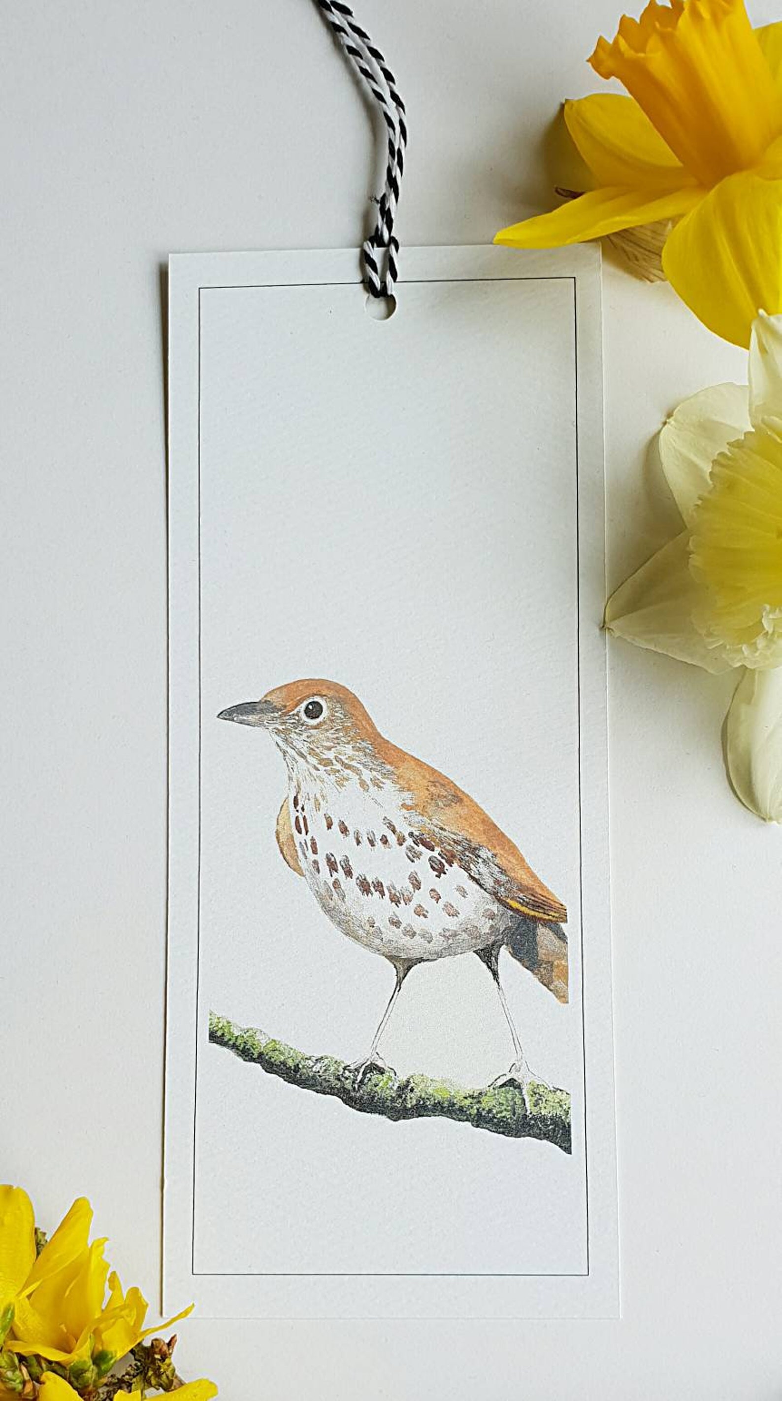 Bookmarks. Robin Bookmark. Thrush Bookmark. Coal Tit Bookmark. Blue Tit ...