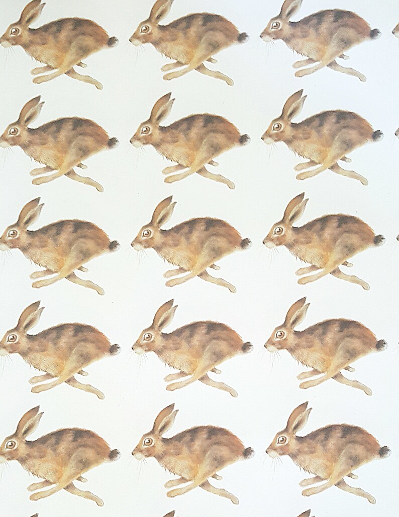 Hare Wrapping Paper. Hare Gift Wrap. Hare. Paper With Hares. - Etsy UK