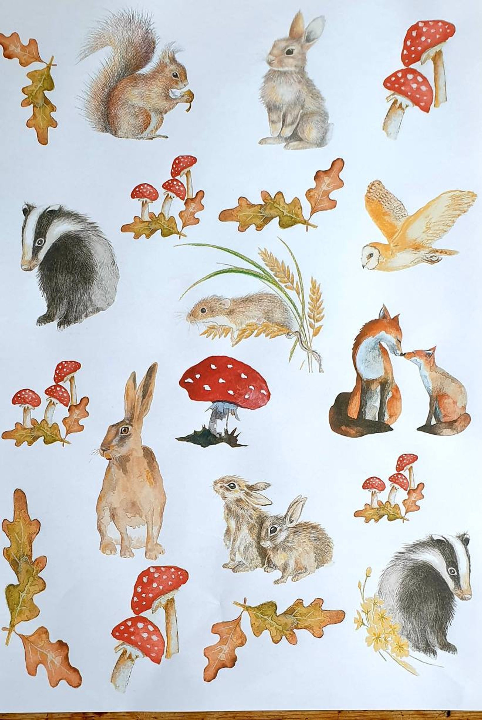 Woodland Wrapping Paper. Red Squirrel Gift Wrap. Wildlife Gift ...