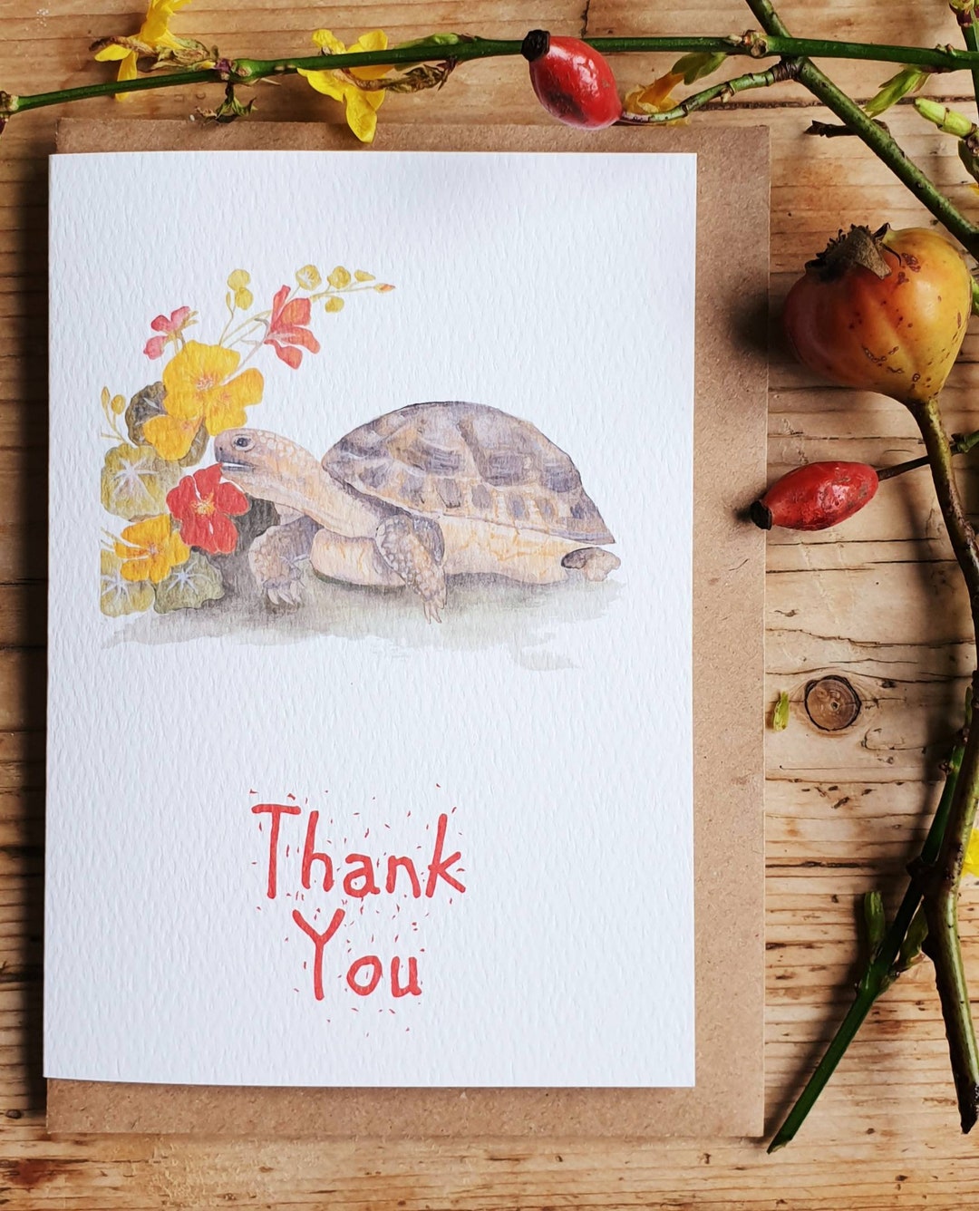 Thank You Cards. Tortoise Thank You Card. Thank You. Tortoise Card ...