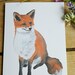 Fox Cards. Mulit Pack of Fox Cards. Two Designs. Red Fox Cards ...