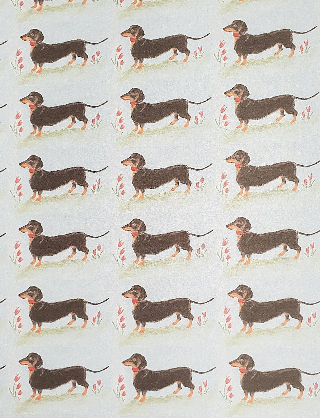 Dachshund Wrapping Paper. Wrapping Paper With a Sausage Dog. Funny ...