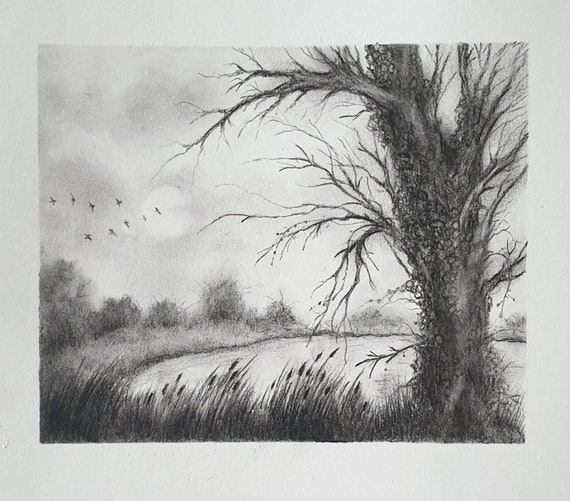 Simple Charcoal Drawings