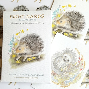 Hedgehog Notecard Pack. Multi Pack of Cards. Hedgehog Gift. Hedgehog ...