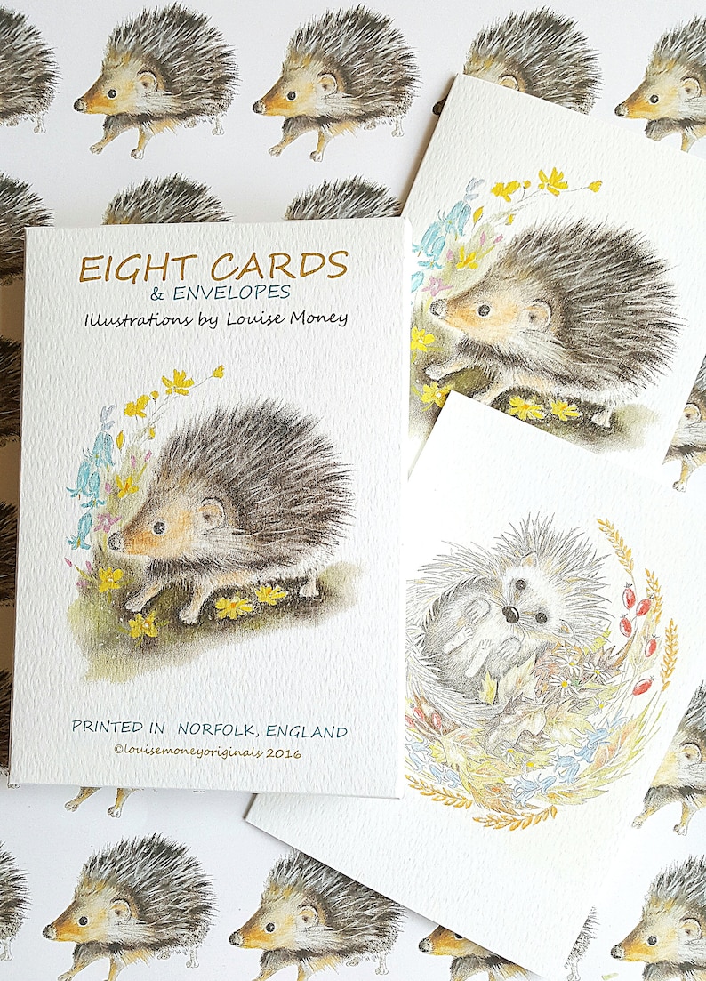 Hedgehog notecard pack. multi pack of cards. hedgehog gift. | Etsy