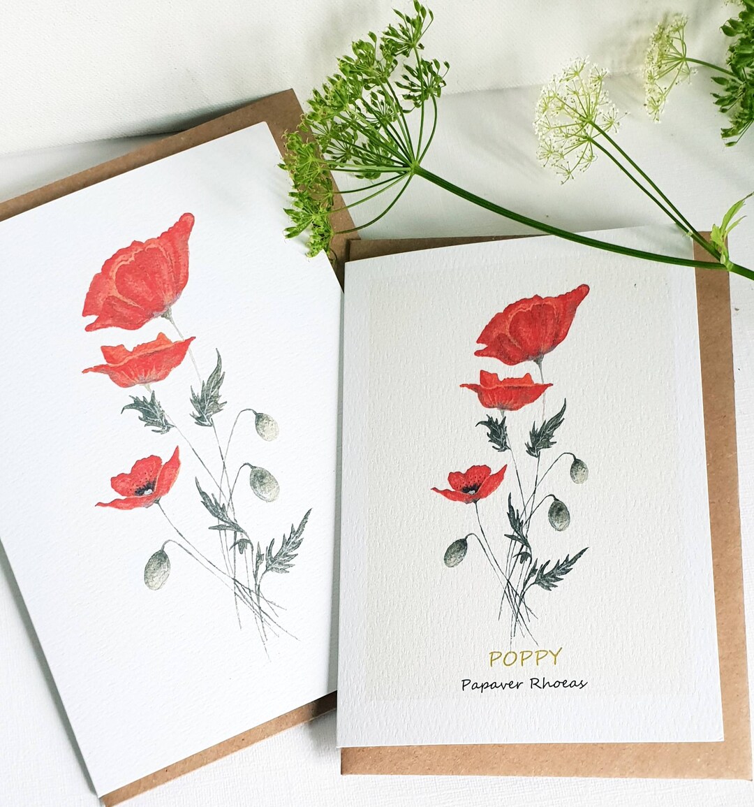 Poppy Card. Poppy Watercolour Card. Card With a Poppy. Poppy Gift ...